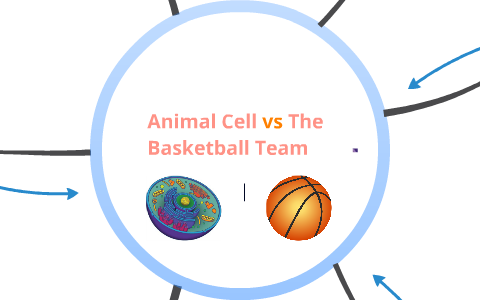 Animal Cell vs Basketball team by Keziah on Prezi