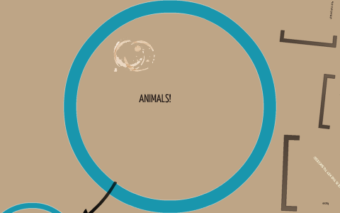 in class example by Kacee McCoy on Prezi