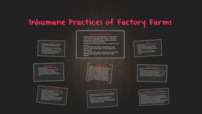 Inhumane Practices of Factory Farms by Ricardo Zozaya on Prezi