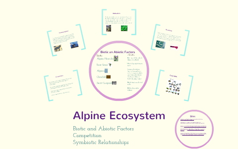Alpine Ecosystem by Kylee Hill on Prezi