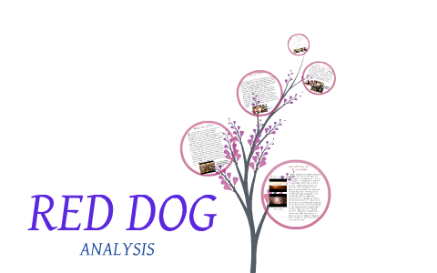 RED DOG FILM ANALYSIS by Katie Dreckow on Prezi