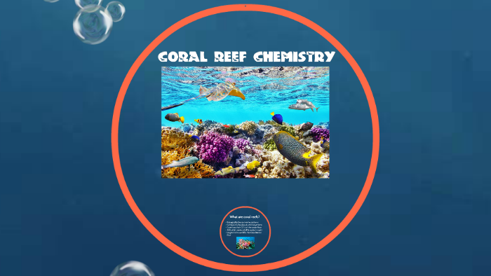 Coral Reef Chemistry by Tina Chen on Prezi