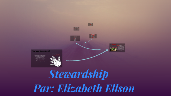 Qu'est ce que est la StewardShip? by Elizabeth Fulton-Ellson on Prezi