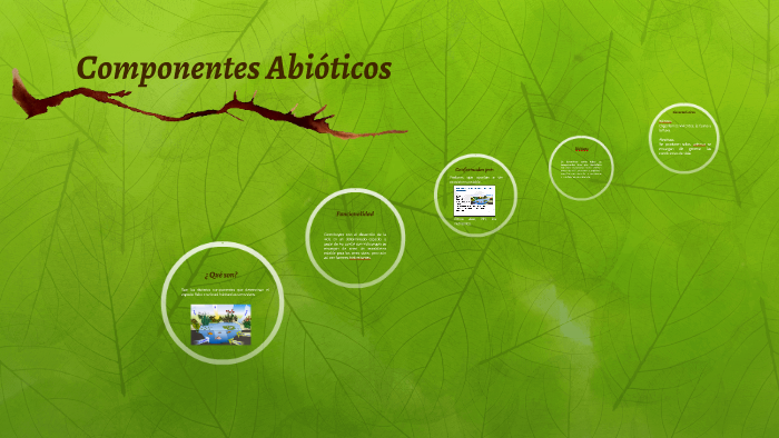 Componentes Abióticos by John Hansel Torres on Prezi