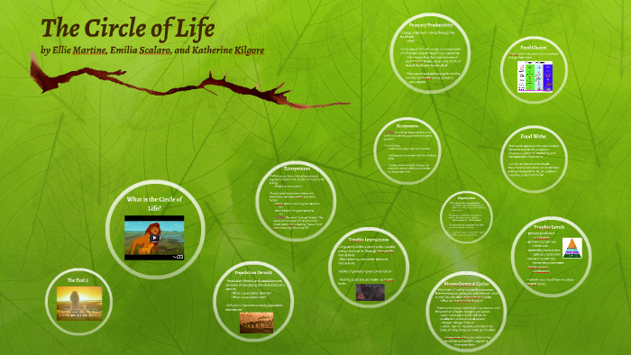 The Circle of Life by on Prezi