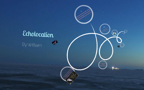 Science Project:echolocation by William Walker on Prezi