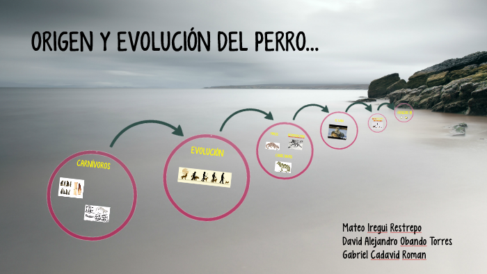 ORIGEN Y EVOLUCIÓN DEL PERRO by Mateo Iregui Restrepo on Prezi