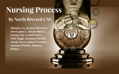 Nursing Process by George Ngo on Prezi