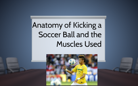 Anatomy of Kicking a Soccer Ball and the Muscles Used by Francisco ...