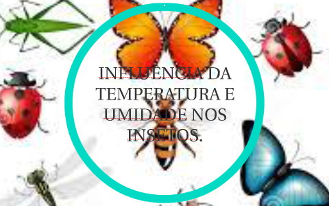 INFLUÊNCIA DA TEMPERATURA E UMIDADE NOS INSETOS by Rafael Almeida on Prezi