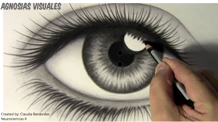 AGNOSIAS VISUALES by claudia benavides on Prezi