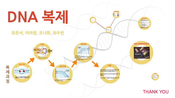 DNA 복제 by 아령 이 on Prezi