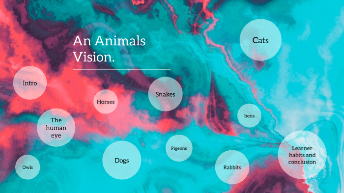 How Different Animals See Colors? by SNOW SWIHART on Prezi