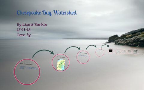 Chesepeake bay watershed by Laura Burkle on Prezi