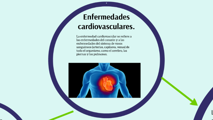 Enfermedades del sistema cardiovascular. by Anny Cardona on Prezi