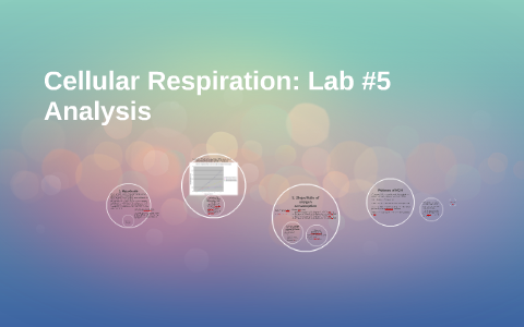 Cellular Respiration: Lab #5 Analysis by Noshin Rahman on Prezi