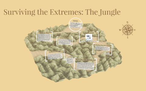 Survival in the Jungle by alinah alam on Prezi