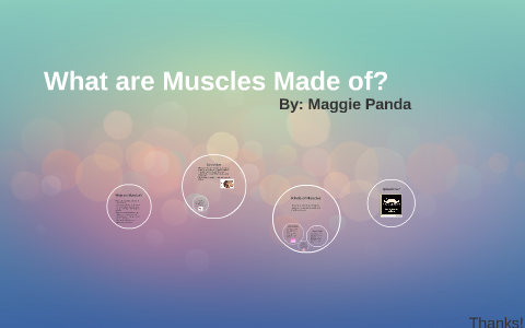 What are Muscles Made of? by Mirage Panda on Prezi