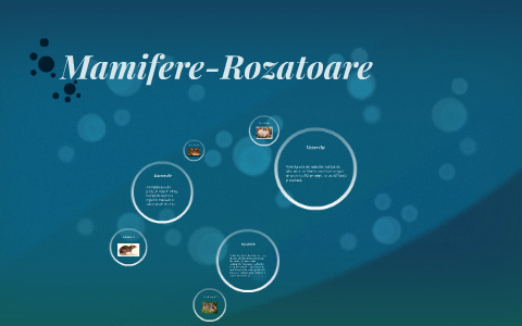 Mamifere-Rozatoare by Alexandru Gabor on Prezi