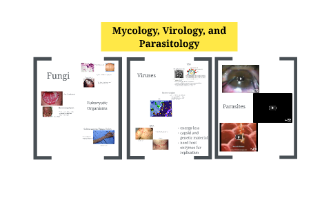 Myco, Viro, and Parasitology slides by Patricia Tran on Prezi