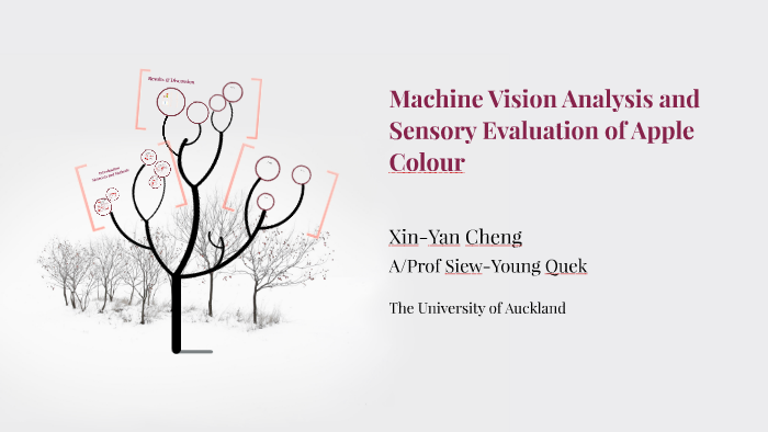 Sensory and Machine Vision Evaluation of Apple Colour by Zinny Cheng