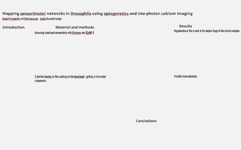 Mapping sensorimotor networks in Drosophila using optogeneti by Romain Franconville on Prezi