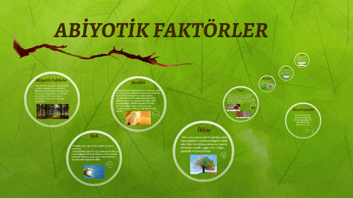 Abiyotik Faktörler Resimleri