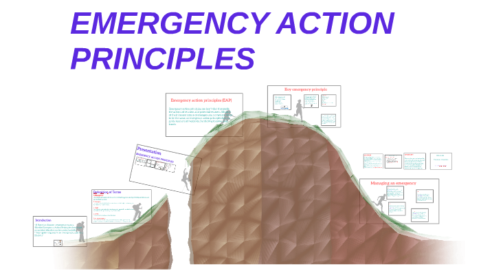 EMERGENCY ACTION PRINCIPLES By KENNETTE ANGNGED
