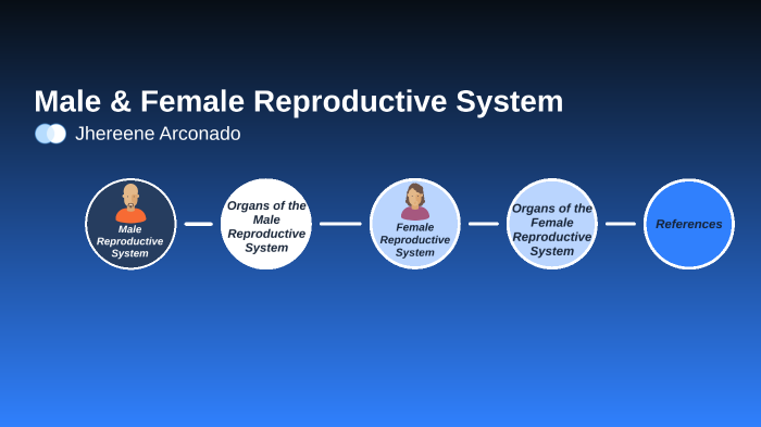 The Male and Female Reproductive System by Jhereene A. on Prezi