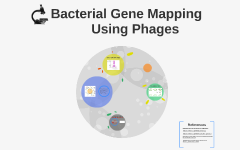 Bacterial Gene Mapping by Joanna Kopytek