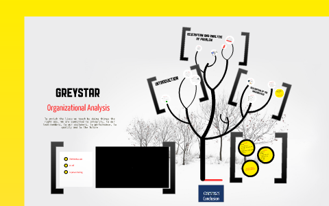 Greystar Organizational Analysis by Courtney Jones on Prezi