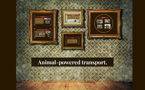 Animal-powered transport. by Elizabeth Henao Muñoz on Prezi