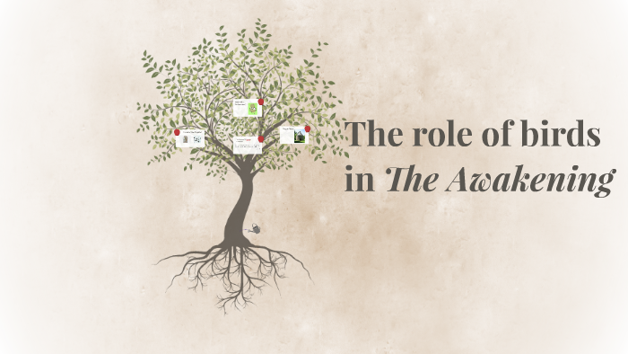The role of the birds in "The Awakening" by Ewelina Dąbrowska on Prezi