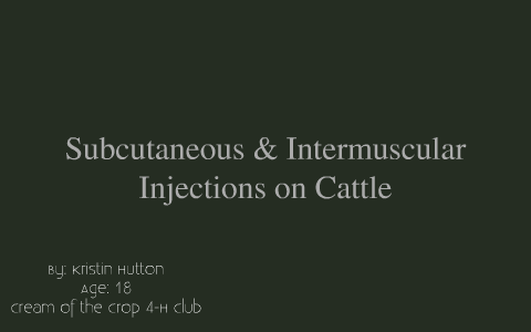 Subcutaneous injection & Intermuscular injection on Cattle! by Kristin ...