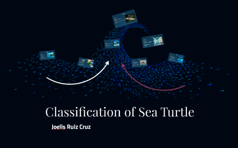 Classification of Sea Turtle by Joelis Ruiz Cruz on Prezi