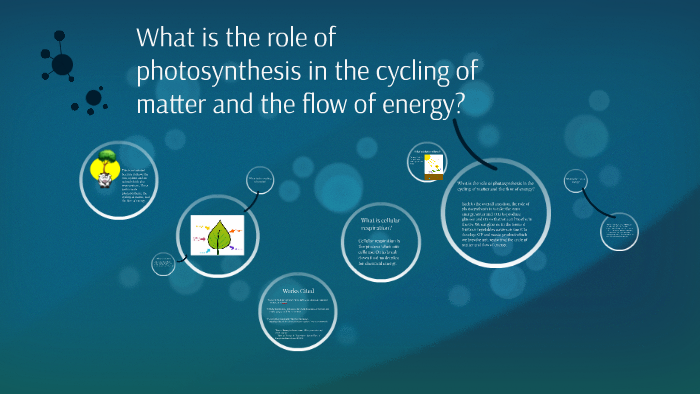 What Is The Role Of Photosynthesis In The Cycling Of Matter By Rachel