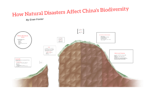 How do natural disasters affect China's biodiversity by nave restof on ...