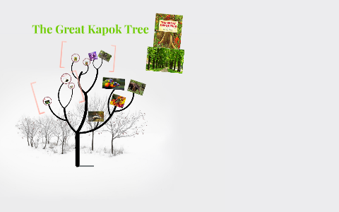 The Great Kapok Tree by Rachel Brophy on Prezi