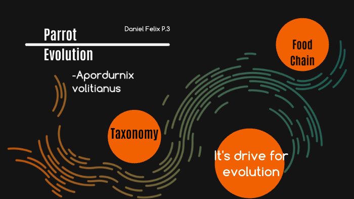Evolution-Parrot by Daniel Felix on Prezi