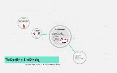 The Genetics of Arm Crossing by Nina Nguyen on Prezi
