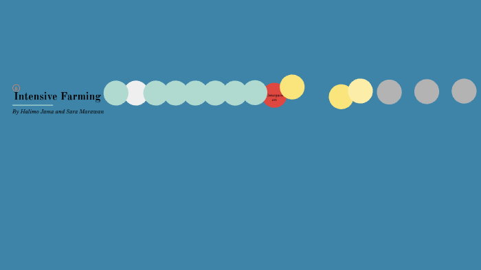 Intensive Farming by Halimo Jama on Prezi