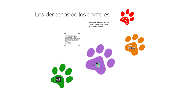 Derechos De Los Animales