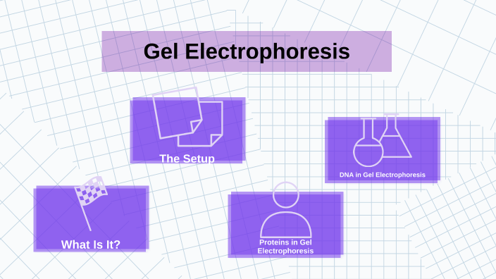 Gel Electrophorisis by Joshua Grobler on Prezi