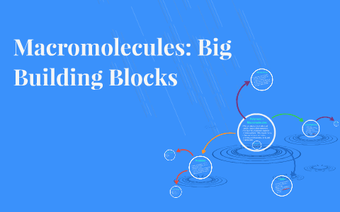 Macromolecules: Big Building Blocks by Alison van der Heide on Prezi