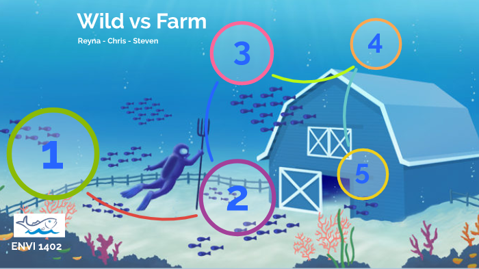 Wild vs Farm (FISH) by Steven Sartini on Prezi