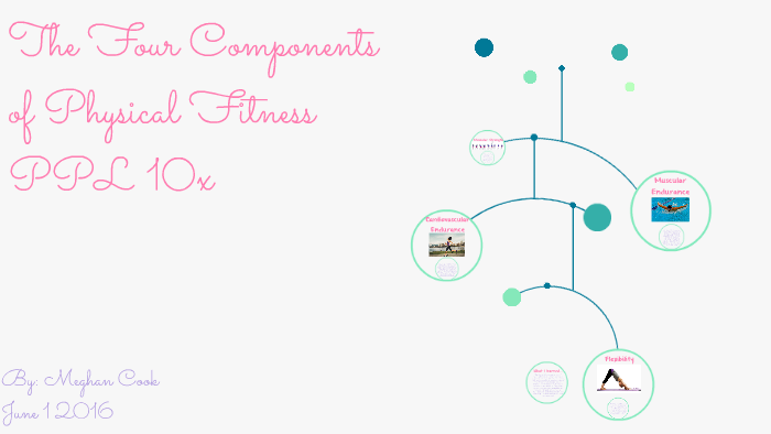 The Four Components of Physical Fitness by Meghan Cook on Prezi