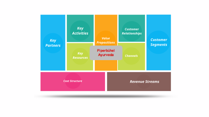 Business model canvas v3 by Paul Dionne on Prezi