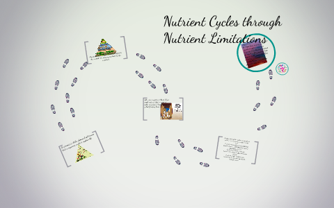 Nutrient Cycles through Nutrient Limitations by Katiee Jackson on Prezi