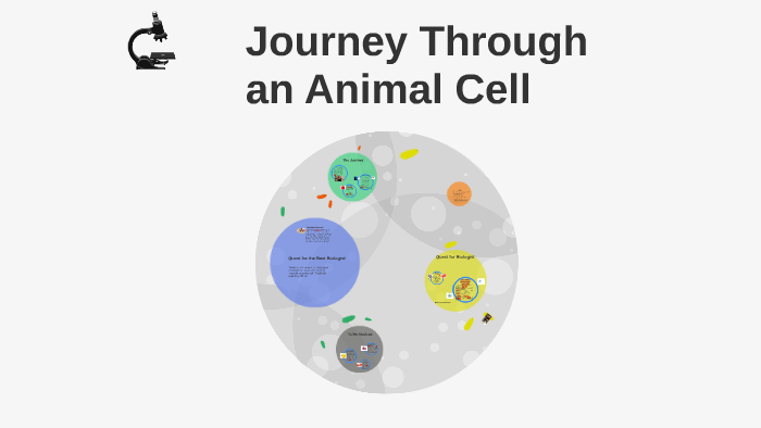 Journey Through an Animal Cell by Scott Fonseka on Prezi
