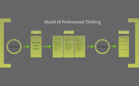 Model of professional thinking by Alex Williamson on Prezi